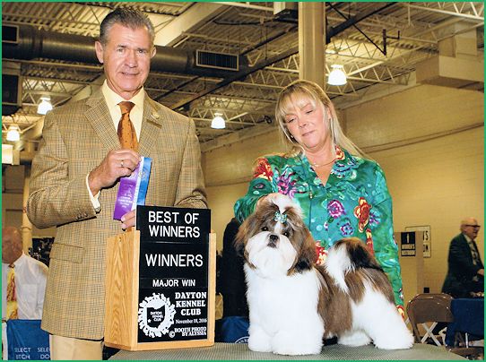 Mr Foo's Shih Tzu of Indiana, Kentucky, Missouri, Illinios, Ohio ...